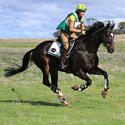 Equestrian Western Australia